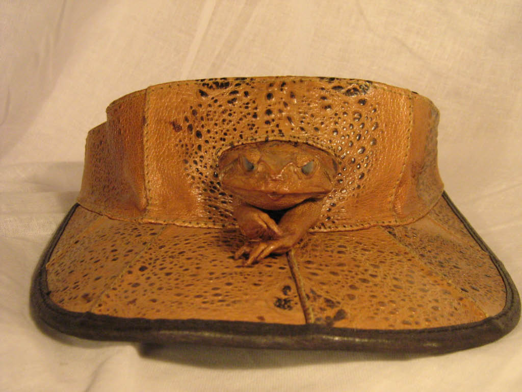 Toad Sun Visor with Toad on Front - Toad Factory - Buy Exotic Skins ...