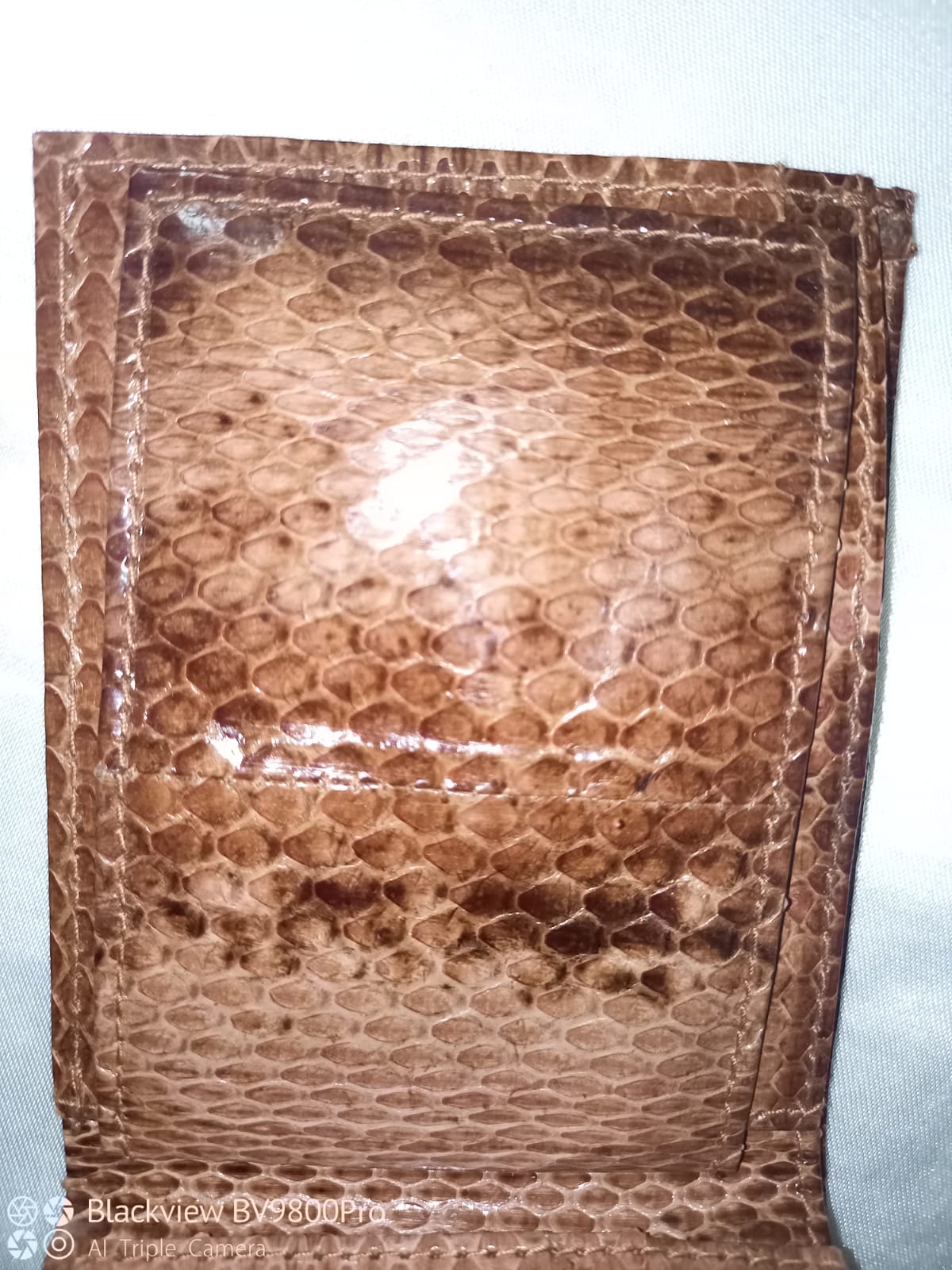 Trifold Men's Snake Skin Wallet - Toad Factory - Buy Exotic Skins ...